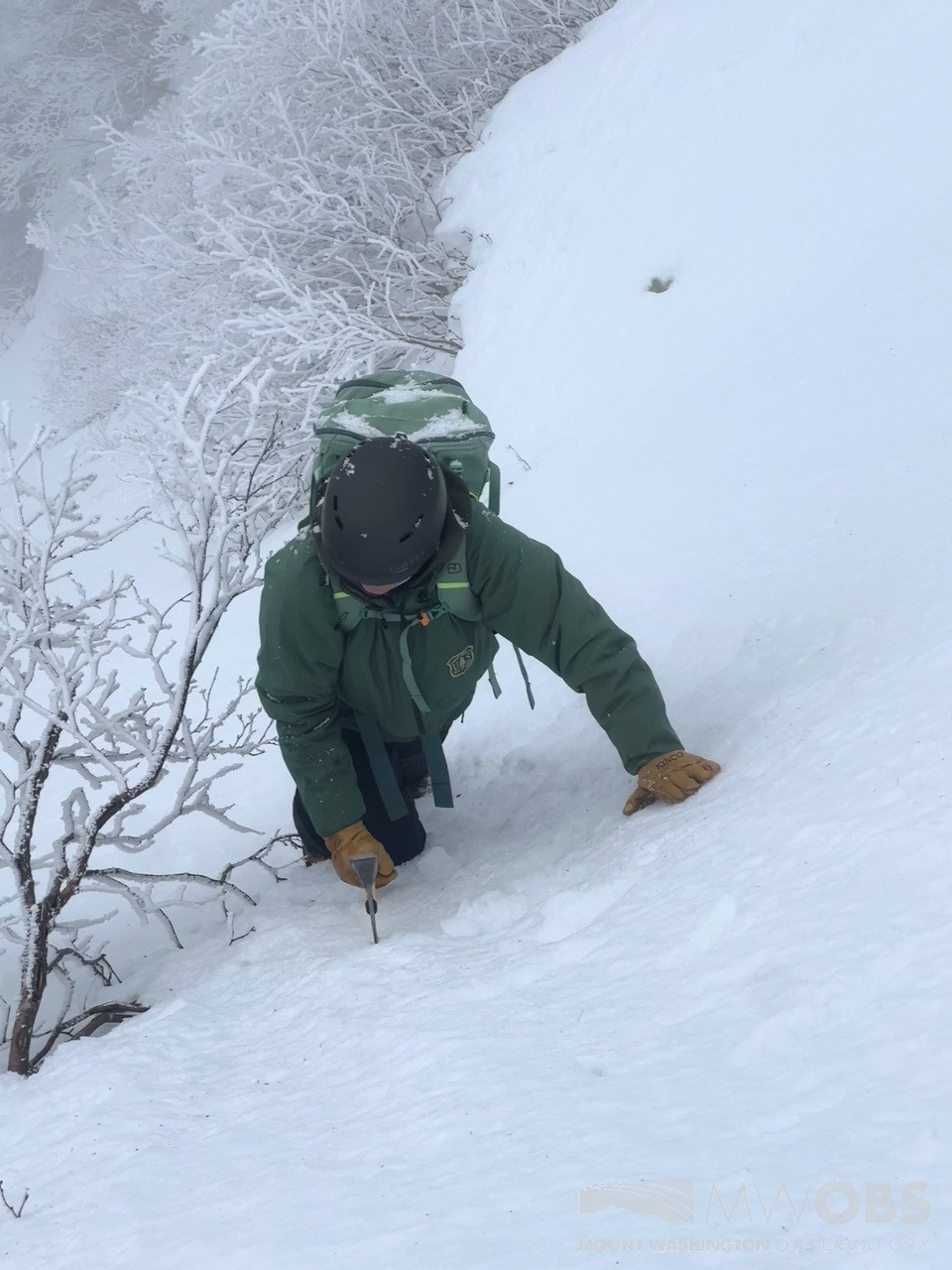 Meet MWOBS/MWAC Intern Laura Wilson - Mount Washington Observatory