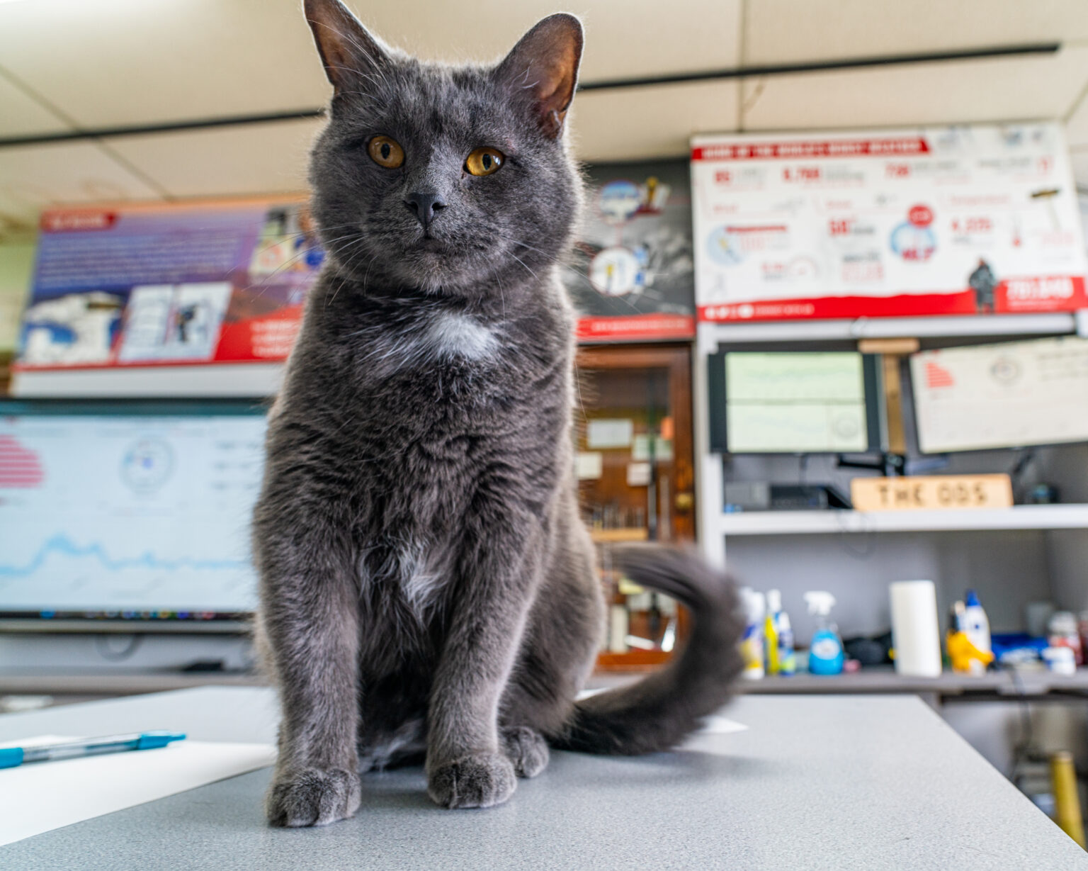 Foggiest Places on Earth - Mount Washington Observatory