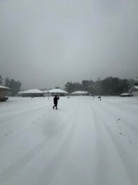 The 2025 Gulf Coast Blizzard: History, Science, and Perspectives from a ...