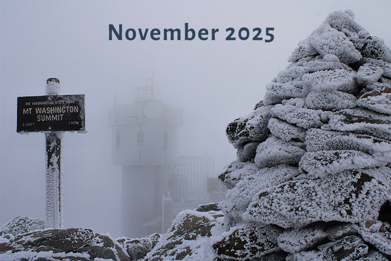 November Newsletter: New Almanac, EduTrips, and Other Exciting News ...